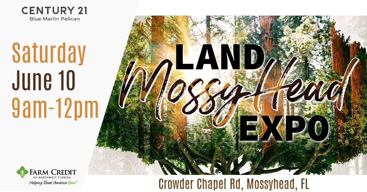 Mossy Head Land Expo - Platinum Lifestyle Professionals